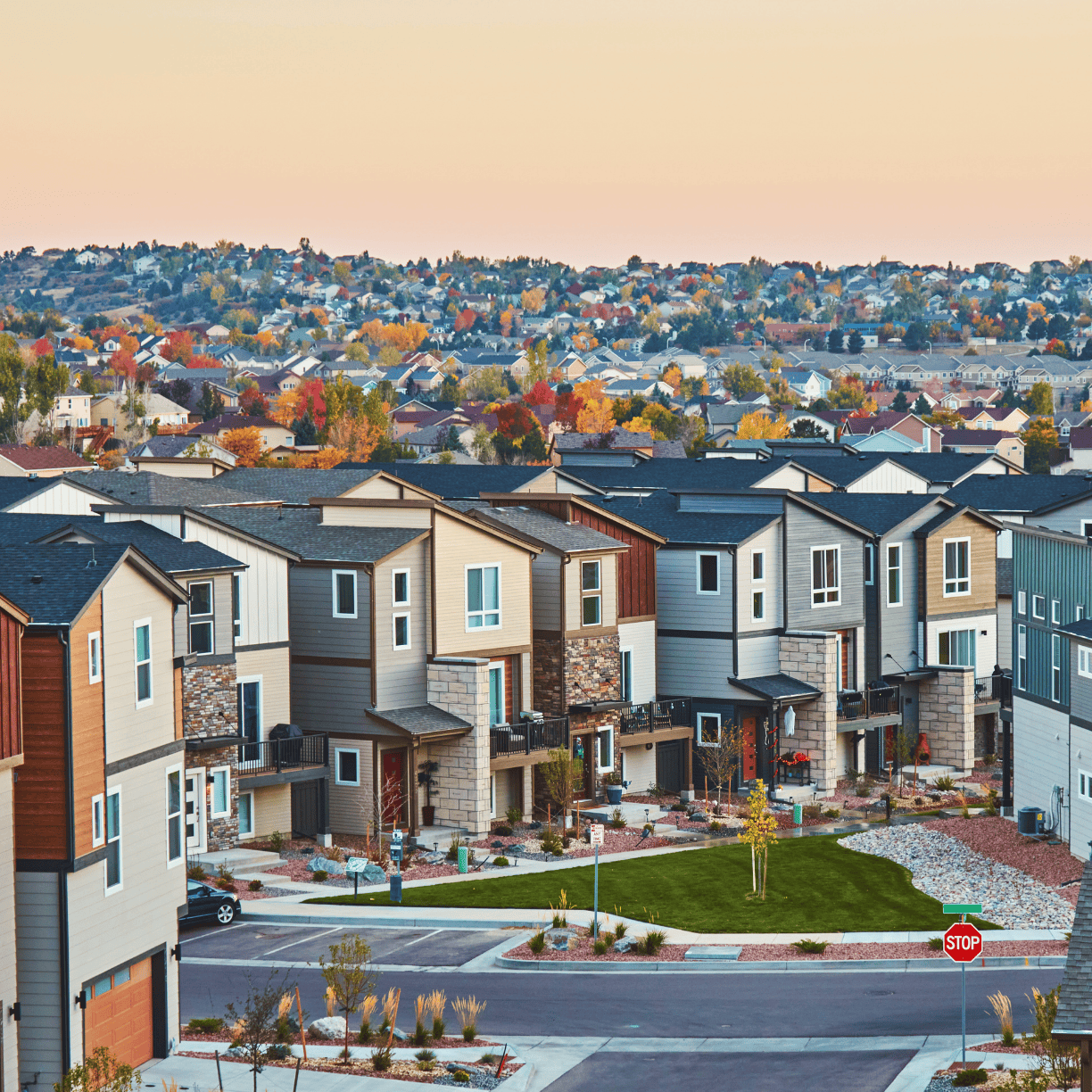 Our Portfolio Companies