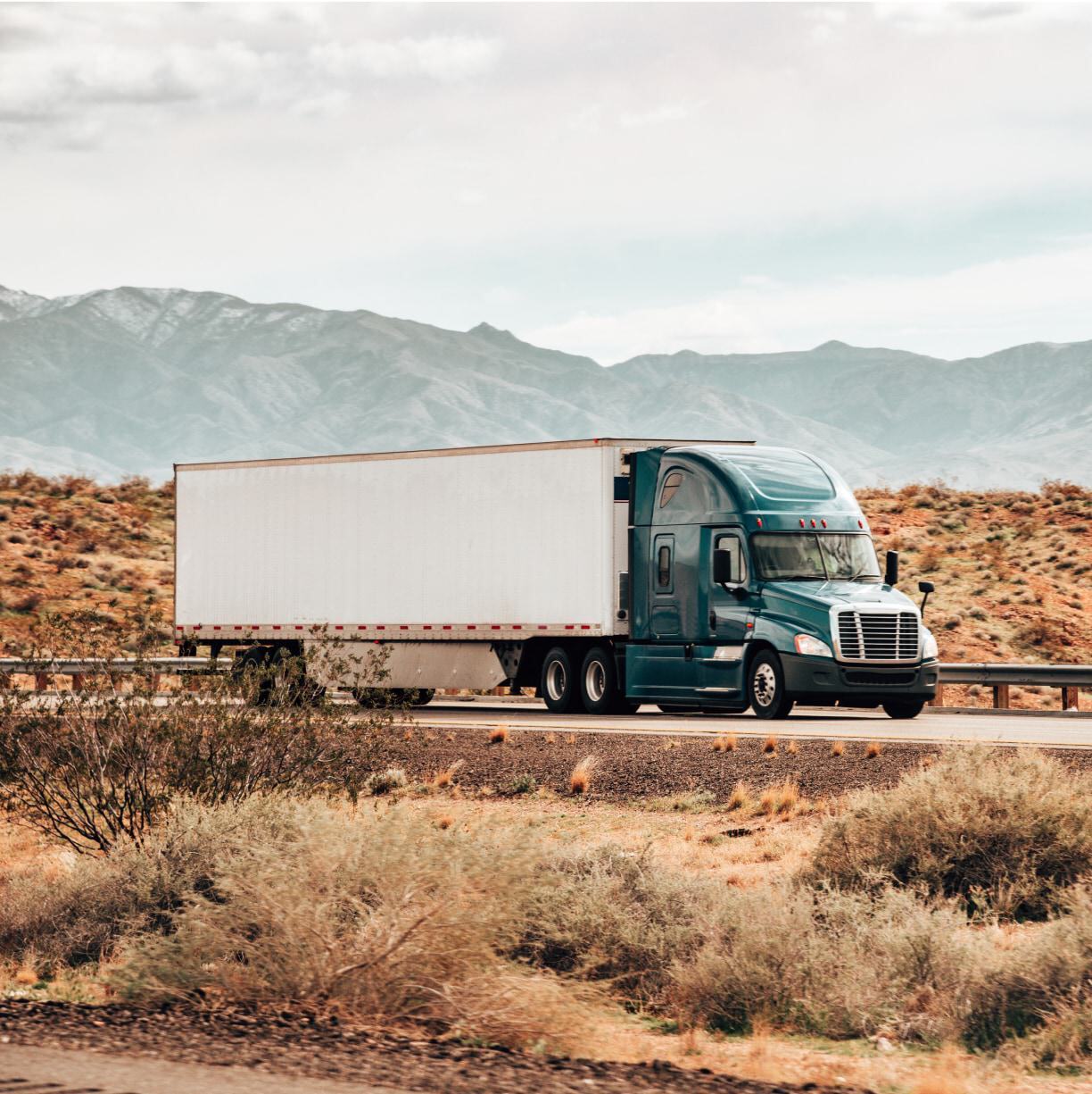 Our Portfolio Companies